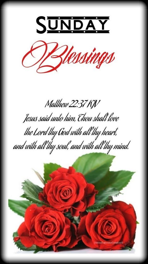 Jesus Sunday Verse Pictures, Photos, and Images for Facebook, Tumblr ...