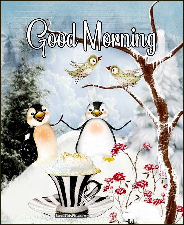 Cute Winter Penguins Pictures, Photos, and Images for Facebook, Tumblr ...