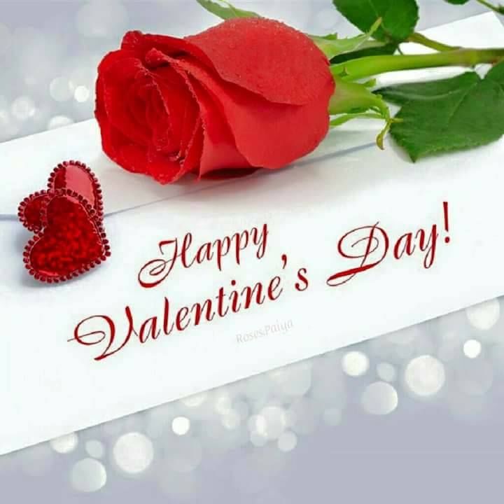 Valentines Day Single Rose