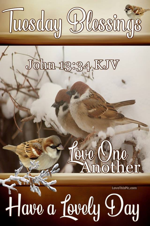 Love One Another Tuesday Blessings Pictures, Photos, and Images for ...
