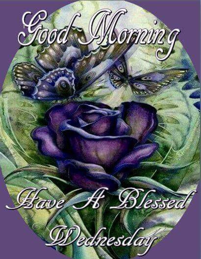 Purple Rose Morning Wednesday Pictures, Photos, and Images for Facebook ...