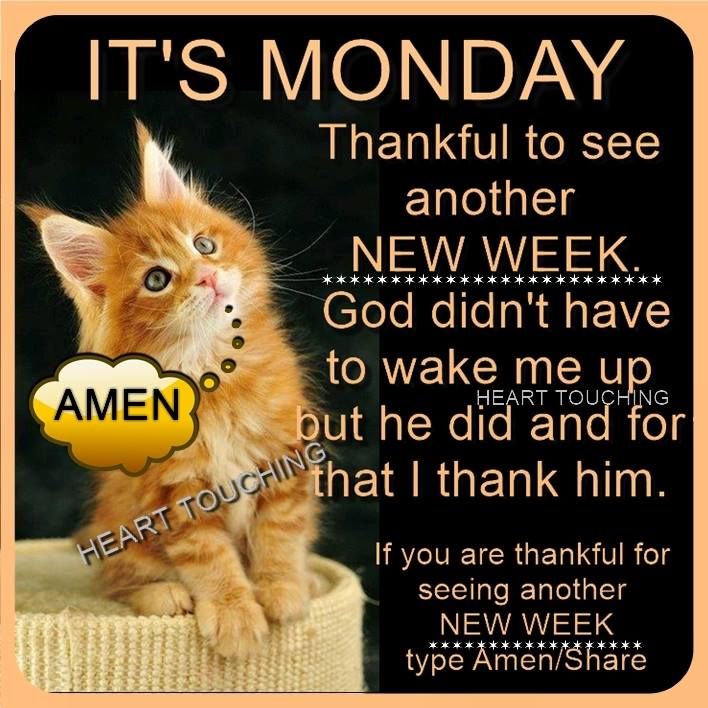 Thankful To See Another New Week Pictures, Photos, and Images for ...
