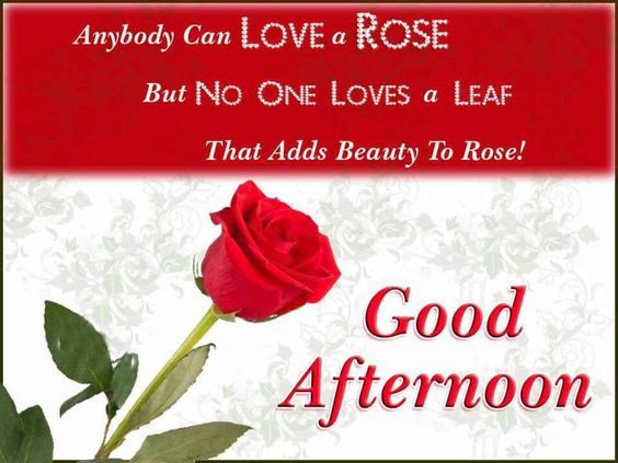 Anybody Can Love A Rose But No One Loves A Leaf That Adds Beauty To ...