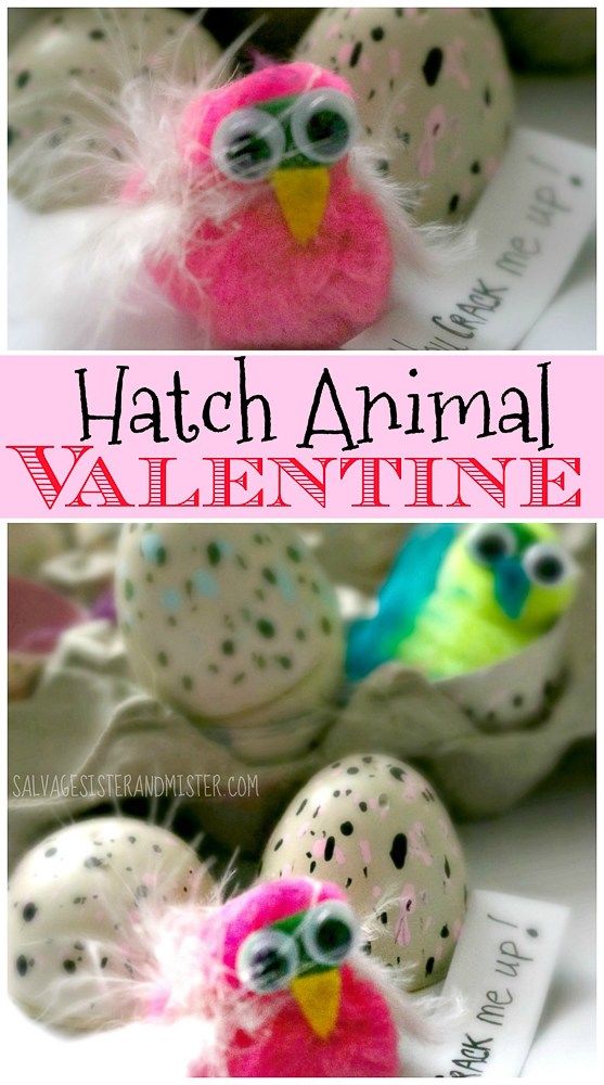 Cute Hatch Animal Valentine Pictures, Photos, and Images for Facebook ...