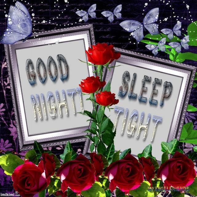 Rose Good Night Image Pictures, Photos, and Images for Facebook, Tumblr ...