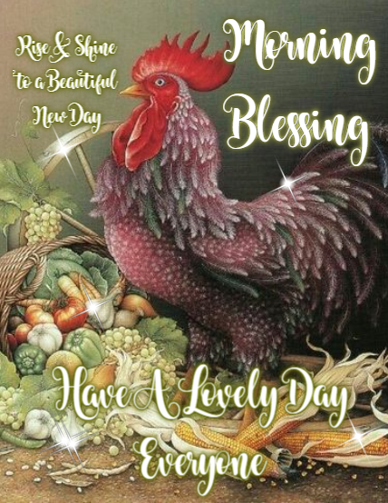 Rooster Morning Blessing Image Pictures, Photos, and Images for ...
