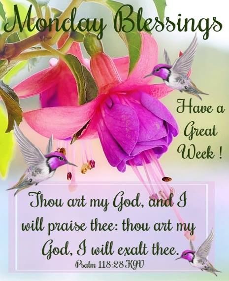 Hummingbird Monday Blessings Image Pictures, Photos, and Images for ...