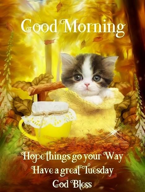 Hope Things Go Your Way, Have A Great Tuesday Pictures, Photos, and ...