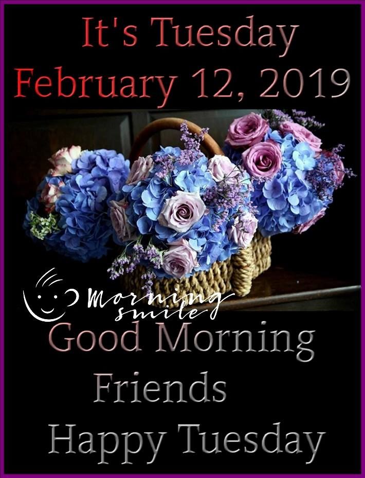 It's Tuesday February 12, 2019 Pictures, Photos, and Images for ...