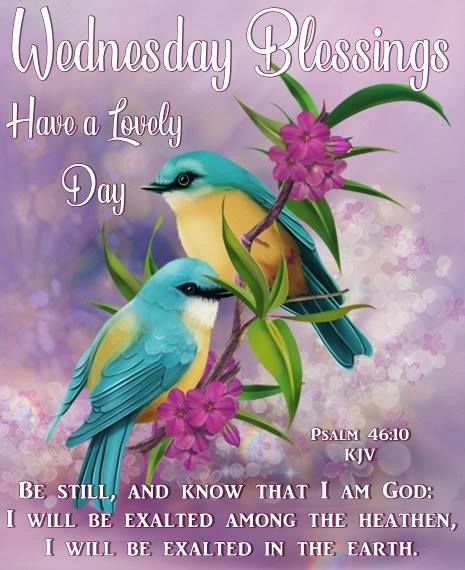 Blue Bird Wednesday Blessing Image Pictures, Photos, and Images for ...