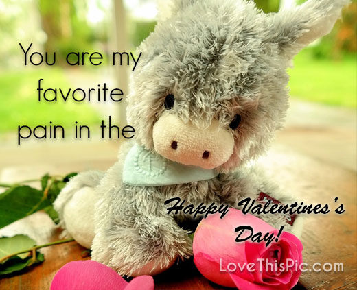 You Are My Favorite Pictures, Photos, and Images for Facebook, Tumblr ...