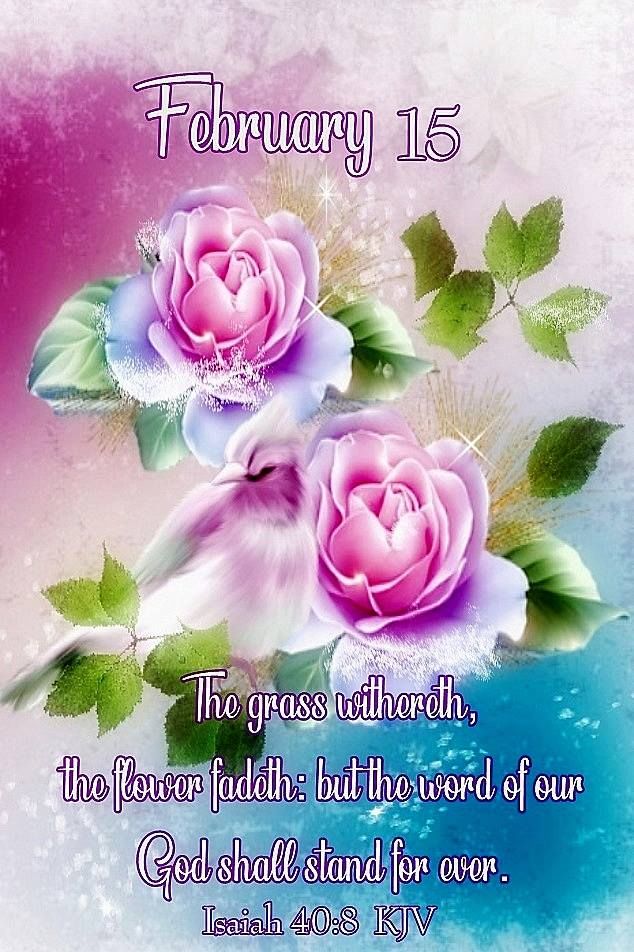 February 15 Pictures, Photos, and Images for Facebook, Tumblr ...