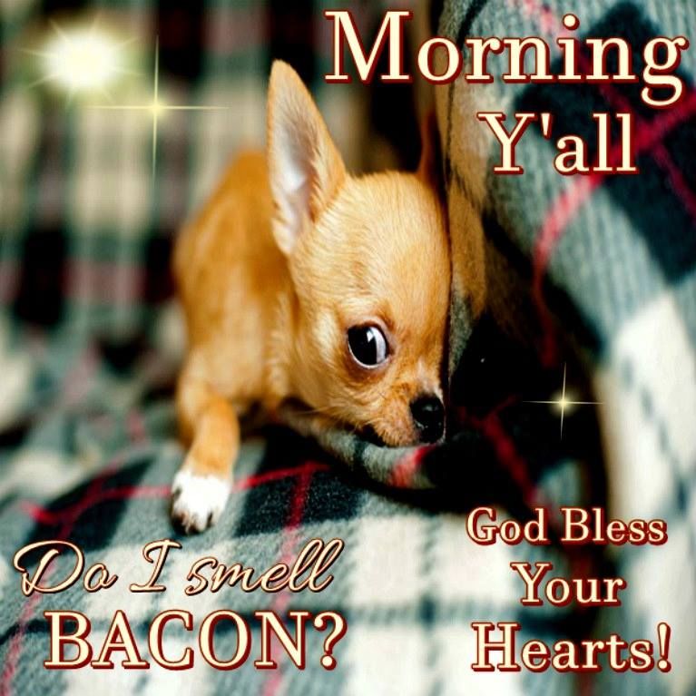 Do I Smell Bacon? Morning Y'all Pictures, Photos, and Images for ...