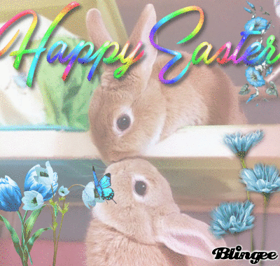Bunny Happy Easter Gif Pictures, Photos, and Images for Facebook ...