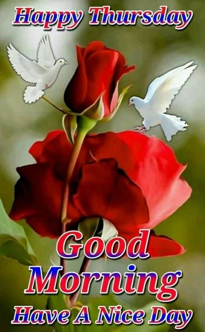 Nice Day Thursday Image Pictures, Photos, and Images for Facebook ...