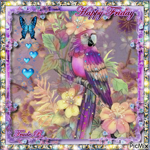 Parrot Friday Animated Image Pictures, Photos, and Images for Facebook ...