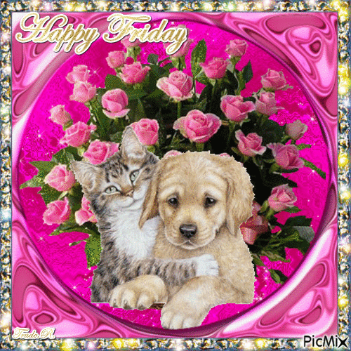 Puppy Kitty Happy Friday Gif Pictures, Photos, and Images for Facebook ...