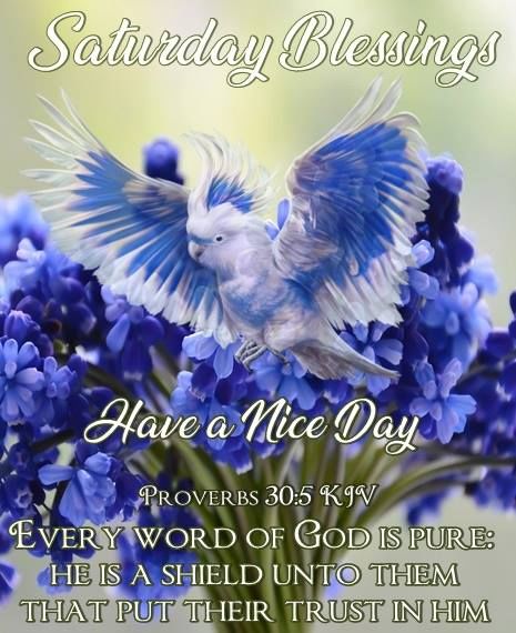 Every Word Of God Is Pure Pictures, Photos, and Images for Facebook ...