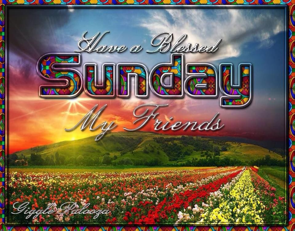 Blessed Sunday Image For Friends Pictures, Photos, and Images for ...