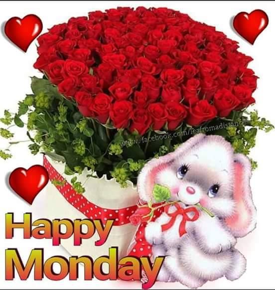 Beautiful Happy Monday Bunny Image Pictures, Photos, and Images for ...