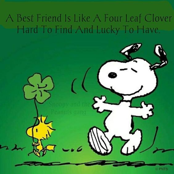 A Best Friend Is Like A Four Leaf Clover Pictures, Photos, and Images ...