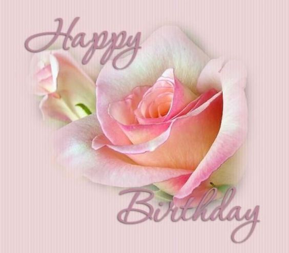 Pink Blossoming Happy Birthday Rose Pictures, Photos, and Images for ...