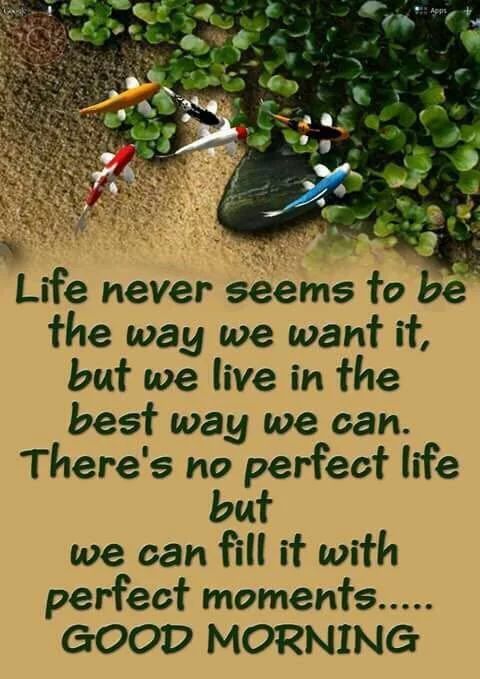 Perfect Moment Good Morning Image Pictures, Photos, and Images for ...