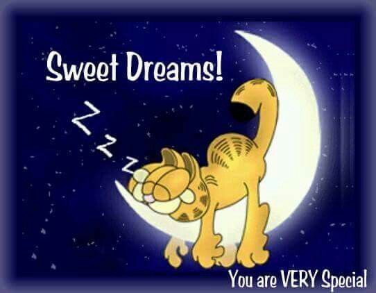Garfield Sweet Dreams Image Pictures, Photos, and Images for Facebook ...
