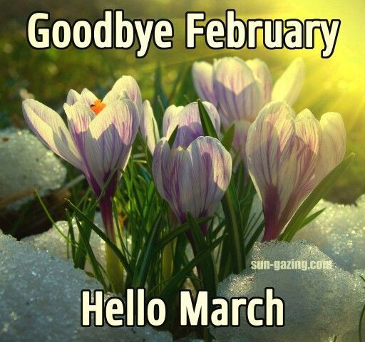 Goodbye February, Hello March Pictures, Photos, and Images for Facebook ...