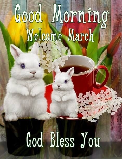 Good Morning Welcome March Bunny Image Pictures, Photos, and Images for ...