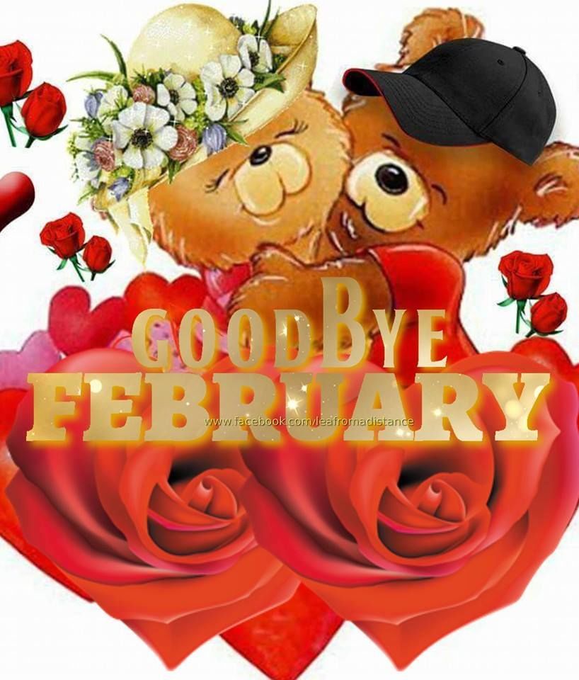 Romantic Rosey Bear Goodbye February Quote Pictures, Photos, and Images ...