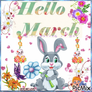 Grey Bunny Hello March Image Pictures, Photos, and Images for Facebook ...