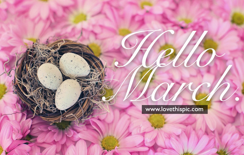 Birds Nest Hello March Image Pictures, Photos, and Images for Facebook ...