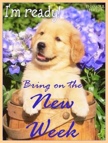 I'm Ready! Bring On The New Week Pictures, Photos, and Images for ...