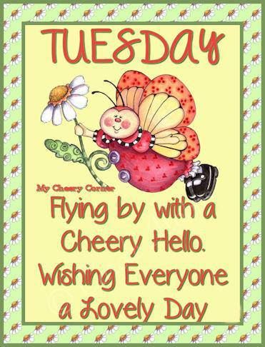 Flying By With A Cheery Hello. Wishing Everyone A Lovely Day Pictures ...