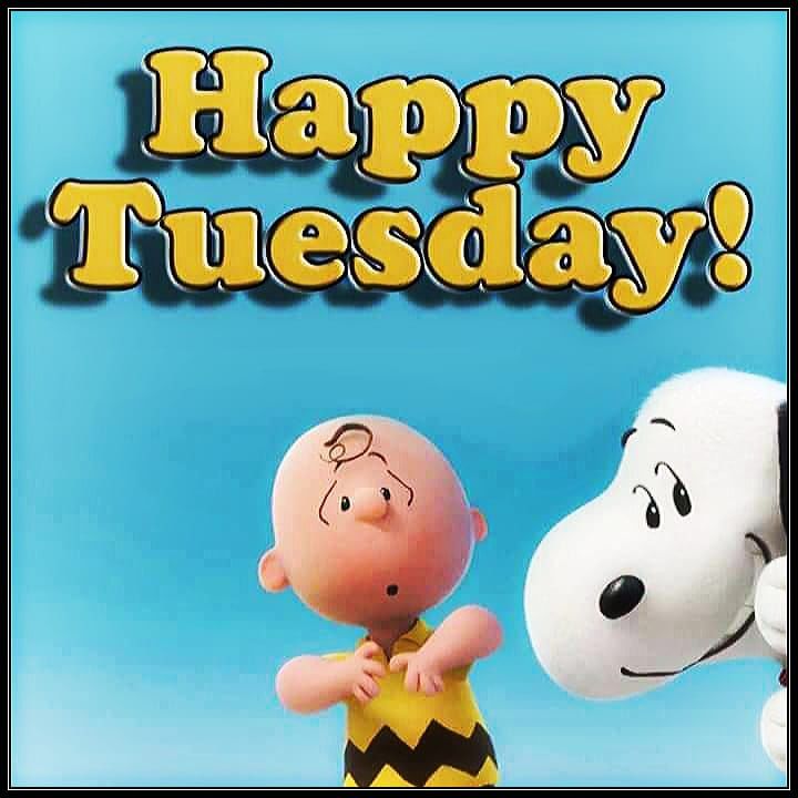 Charlie Brown Happy Tuesday Quote Pictures, Photos, and Images for ...