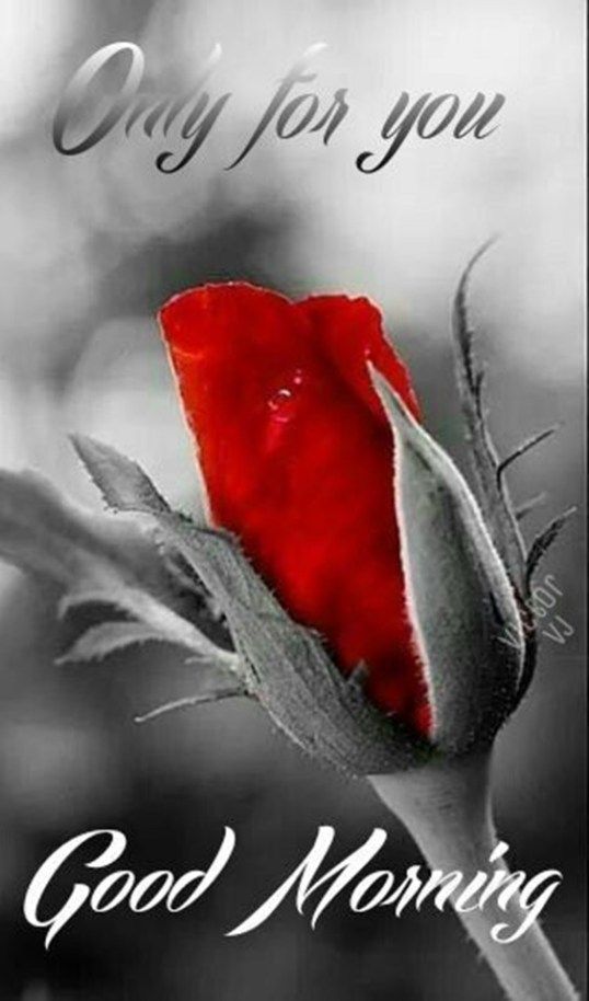 Only For You Pictures, Photos, and Images for Facebook, Tumblr ...