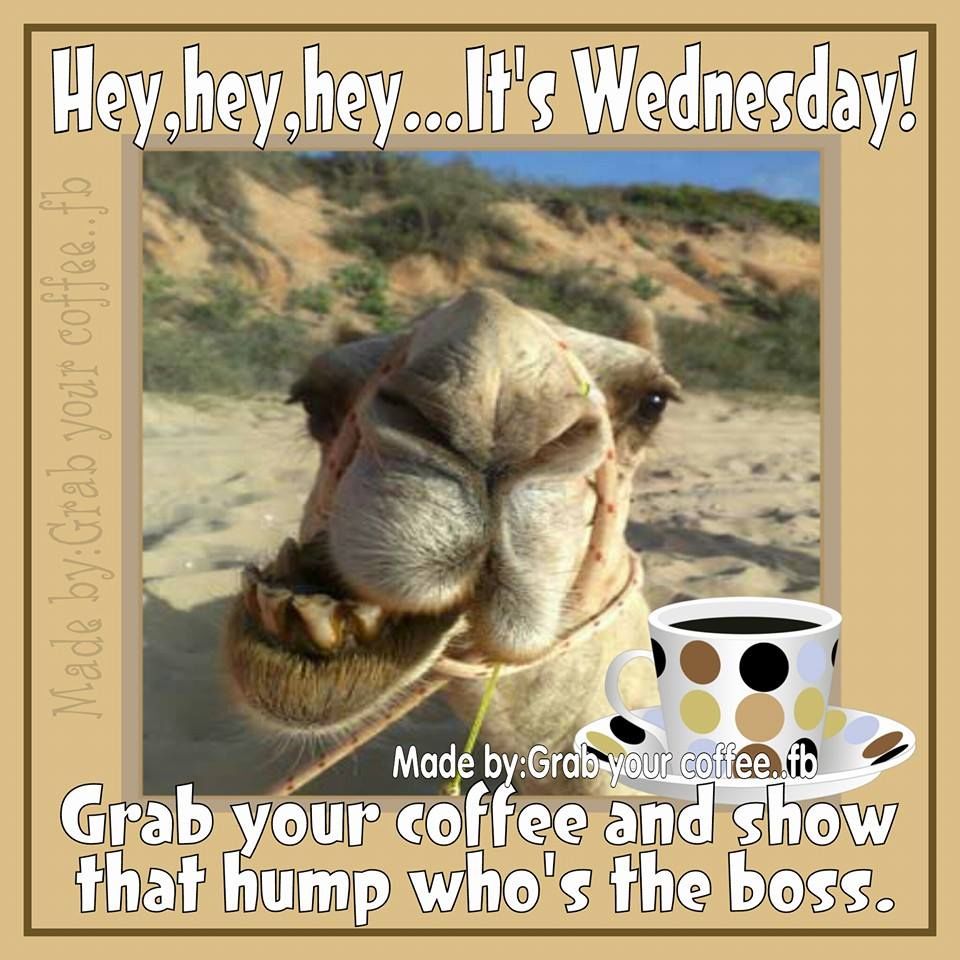 Hey Hey Hey Its Wednesday Pictures, Photos, and Images for Facebook ...