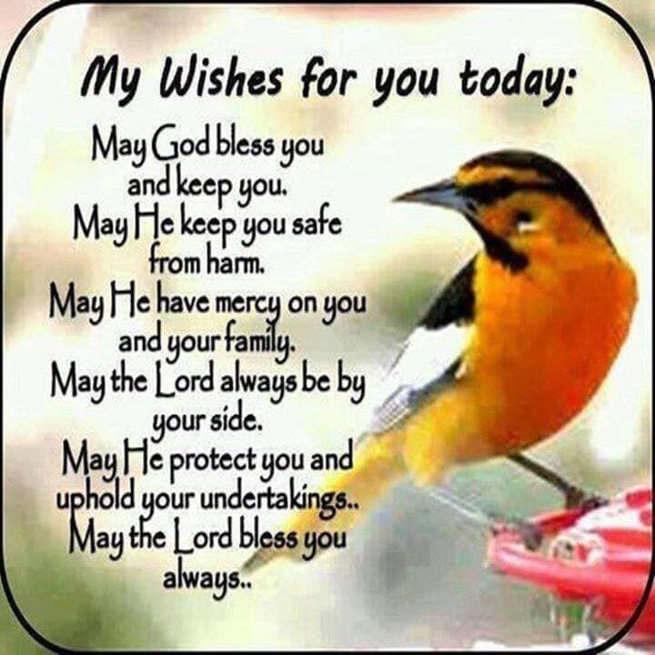 My Wishes For You Today Pictures, Photos, and Images for Facebook ...