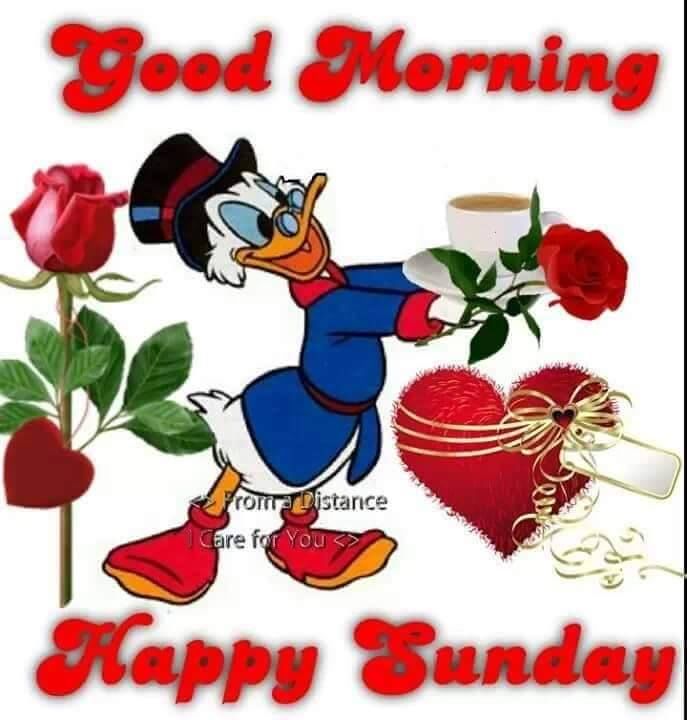 Happy Sunday Good Morning Pictures, Photos, and Images for Facebook ...