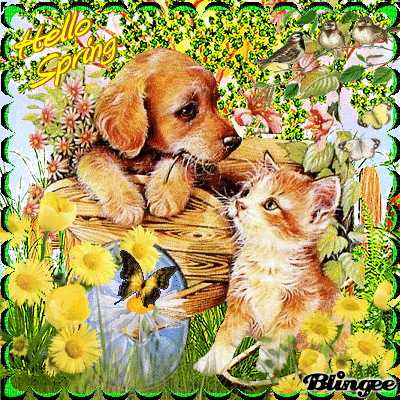 Puppy & Kitty Hello Spring Animation Pictures, Photos, and Images for ...
