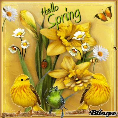 Spring Nature Gif Pictures, Photos, and Images for Facebook, Tumblr ...