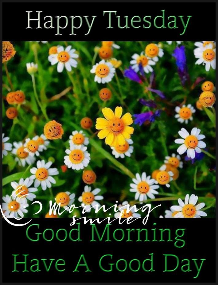 Good Day Tuesday Pictures, Photos, and Images for Facebook, Tumblr ...