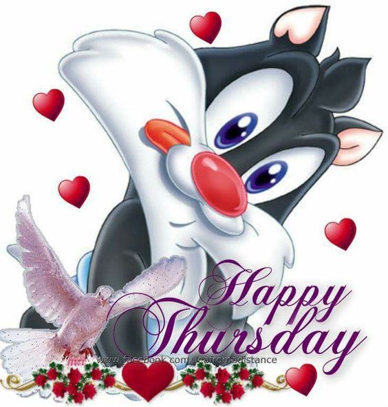 Baby Sylvester Happy Thursday Quote Pictures, Photos, and Images for ...