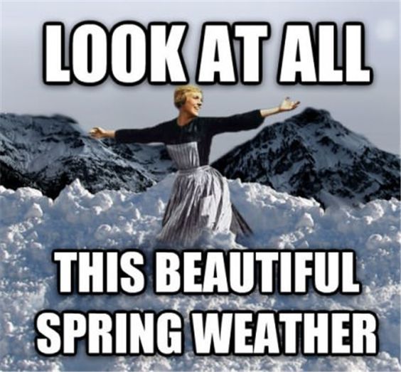 Look At All This Beautiful Spring Weather Pictures, Photos, and Images ...