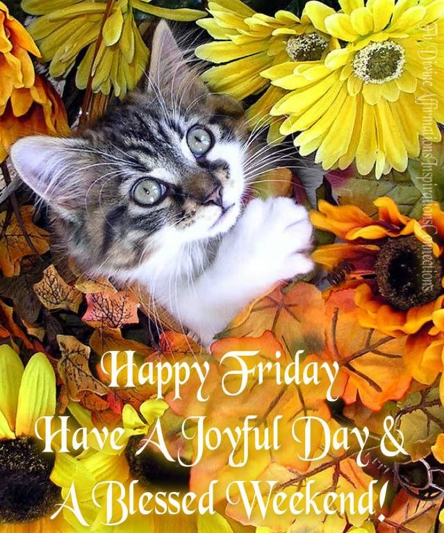Joyful Day And Blessed Weekend Pictures, Photos, and Images for ...