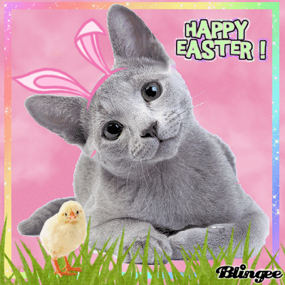 Bunny Cat Easter Animated Image Pictures, Photos, and Images for ...