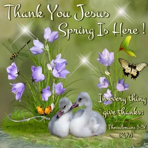 Thank You Jesus, Spring Is Here Pictures, Photos, and Images for ...
