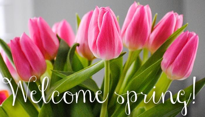 Welcome Spring With Some