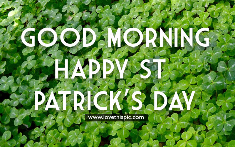 Shamrock St Patricks Day Morning Quote Pictures, Photos, and Images for ...